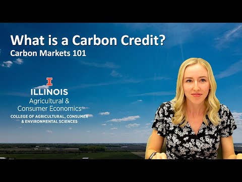 What is a Carbon Credit?