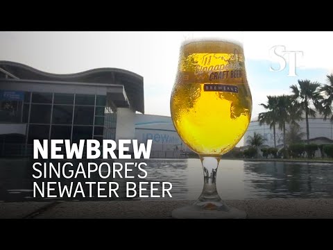Newbrew, the Newater beer, to go on sale in Singapore | weehingthong