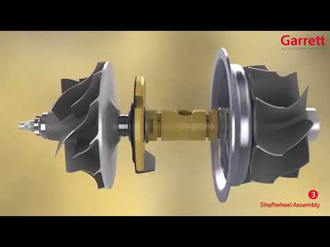 Level 2 video 1