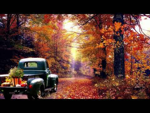 Truck Fall Colors Leaves Falling Animation Screensaver I Ambience I Bird Sounds I 2 Hours [4K/HD]