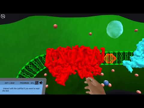 Photosynthesis: Electron transport chain | Virtual Lab