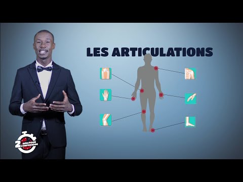 2mn pour comprendre LES ARTICULATIONS avec Polus Agathon