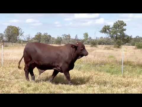 Lot 24 Canowindra Visa V62 PS