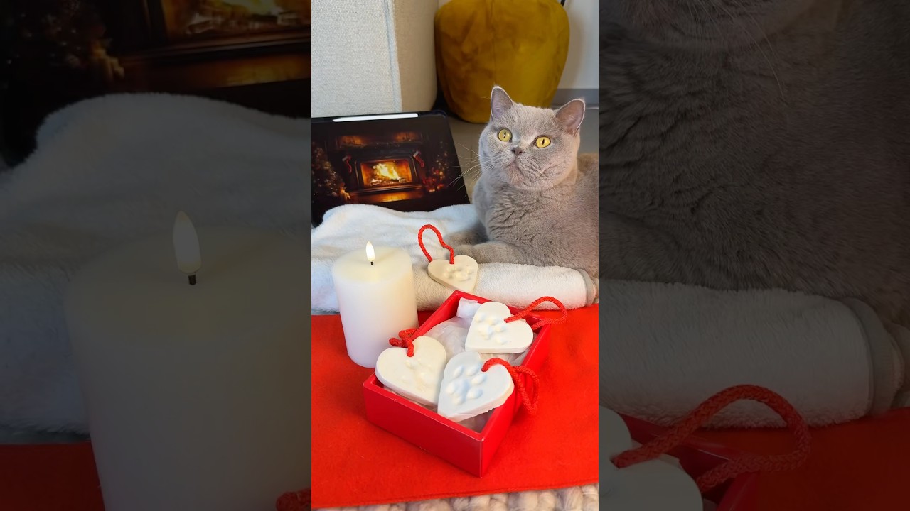 🐱 How to make a CUTE PAW PRINT  ornament 🐾🎄