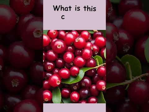 Types of berries(berries names in English)