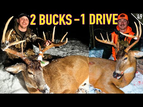 SNOW TRACKING a BUCK into a DEER DRIVE! - Two BIG Bucks Down!