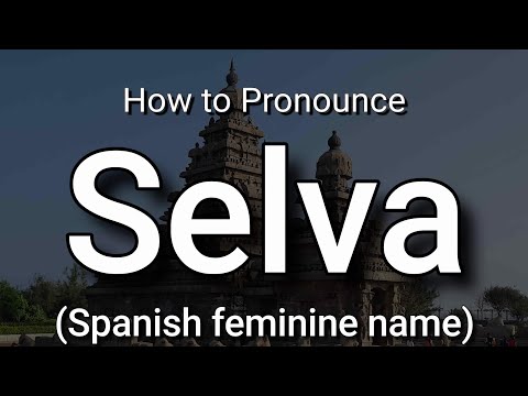 Selva: Pronunciation and Meaning (Spanish Feminine Name)