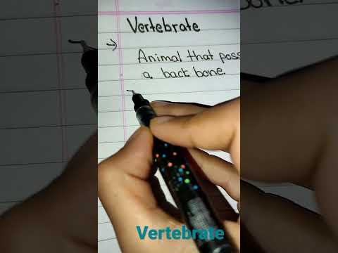 Vertebrate Animal and it's 5 Groups