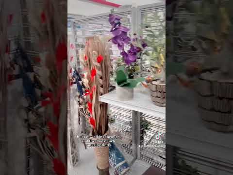 This Burlington Coat Factory location is a hot mess 😅! #vlog #fyp #shopwithme #buffalony #shopping