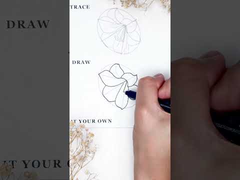 Drawing an amaryllis flower the best way I know how ✨