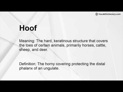 Hoof Meaning
