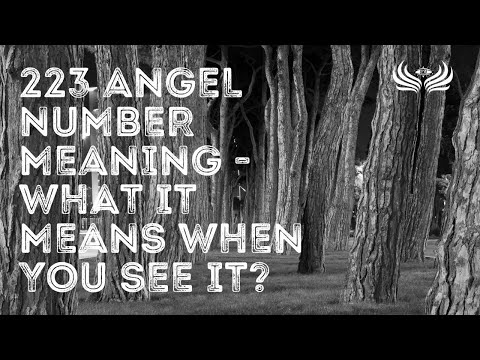 223 Angel Number Meaning 🌠 What It Means When You See It?