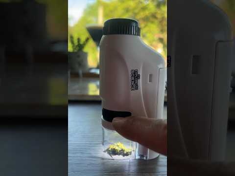 How to use the mini microscope ๐ฑ๐ฌ๐ #bestkidstoys #microscope #scienceathome