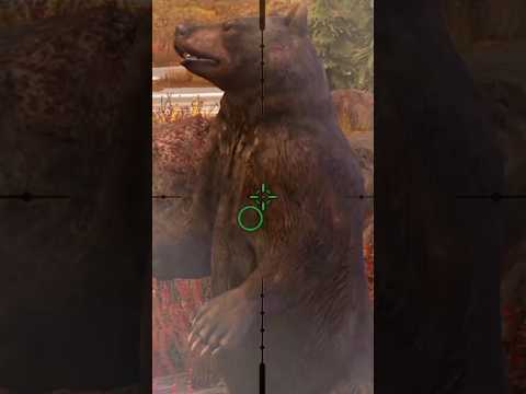bear standing target #viralvideo #trendingvideo #trendingshorts #shortsviral #shortsyoutube
