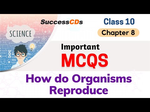 Class 10 Science Chapter 8 How Do Organisms Reproduce Important MCQs | Class 10 Biology MCQs