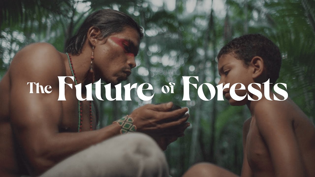 Future Forward: The Future of Forests