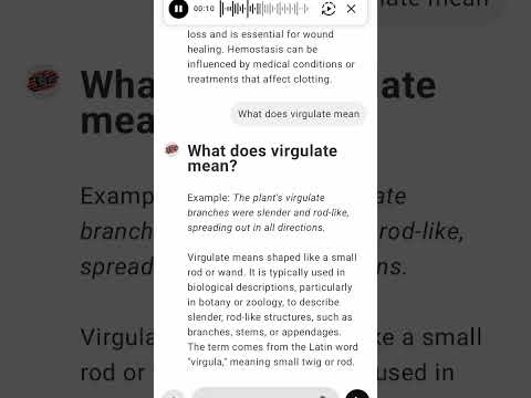What does virgulate mean?