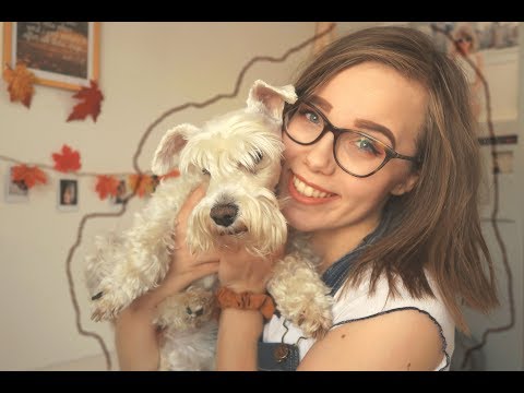 20 Things I Love About My Miniature Schnauzer | vilmabrownie