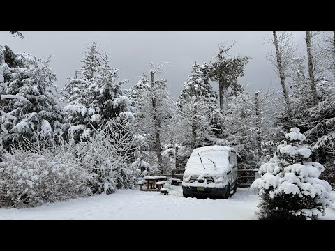 Snow Camping in Tofino, BC. Vancouver Island Canada 🇨🇦 ❤️