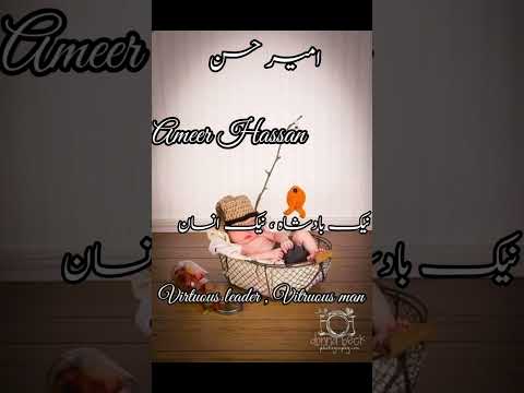 Ameer Hassan (امیر حسن) name meaning in urdu and english / muslim boy name # 2023