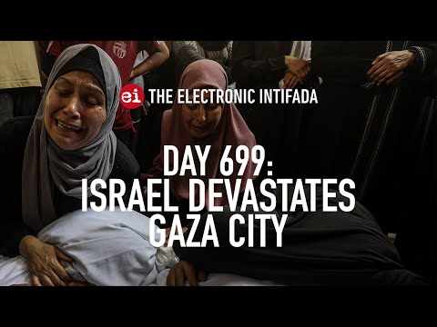 Breaking news and analysis on day 699 of the Gaza genocide | The ...