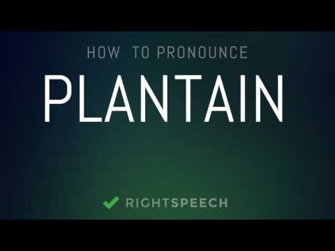 Plantain - How to pronounce Plantain