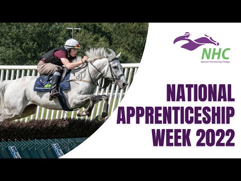 National Apprenticeship Week | Straight from the horses mouth