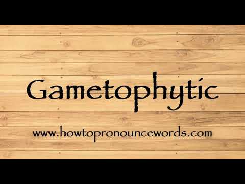 How To Pronounce Gametophytic ? How To say Gametophytic New Video