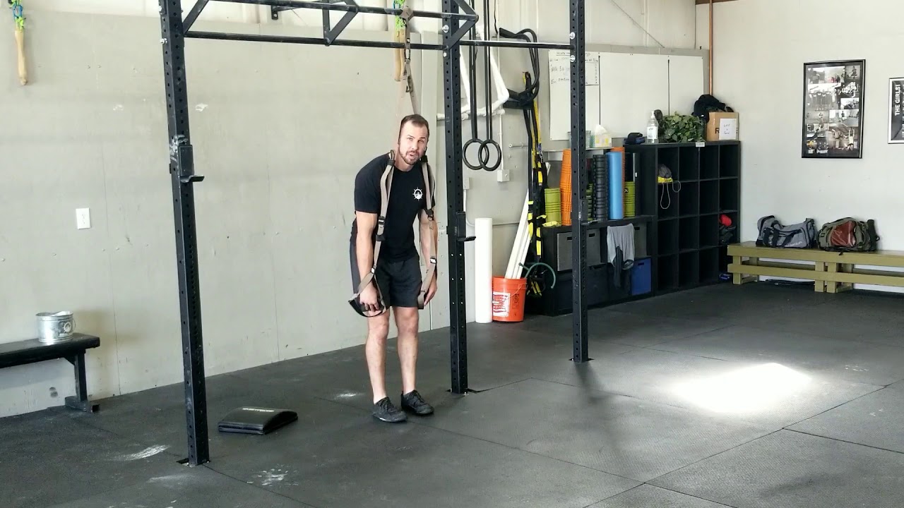 TRX Tricep Kickbacks