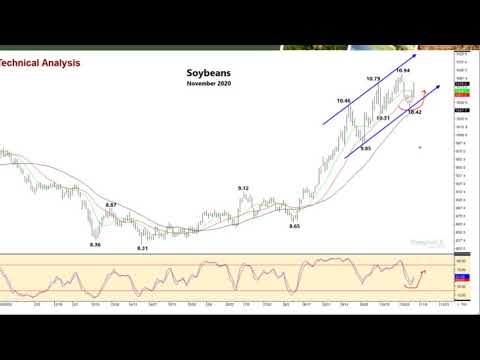 November Soybean Chart | Heartland Farm Partners
