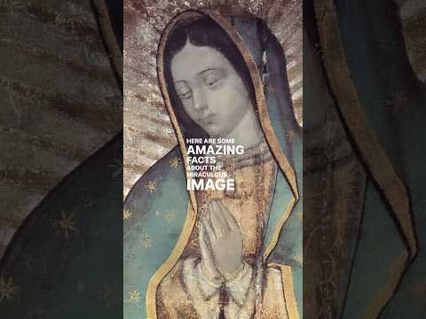 The Image of Our Lady of Guadalupe - part one ๐ #catholic