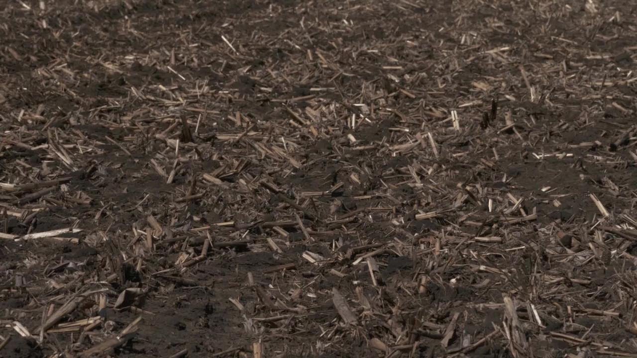 I-80 Planting Tour 2018: Summer Weather