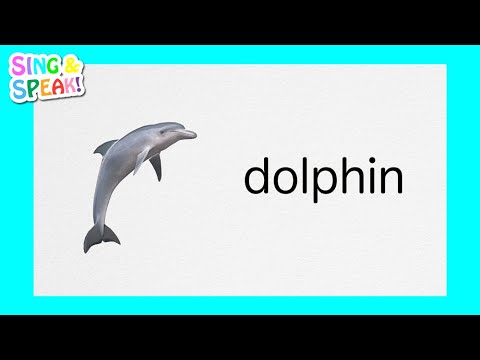 How to pronounce Dolphin