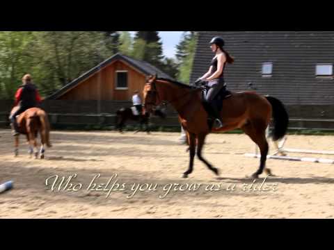 DEFINITION of a good horse