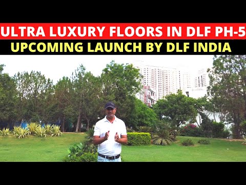 DLF The Grove in Sector 54, Gurgaon: Price, Brochure, Floor Plan, Reviews