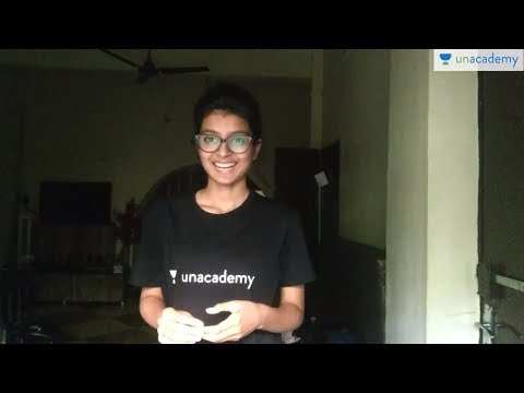 Different Literary Genres - Introduction