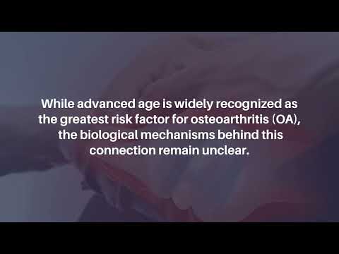 Sirtuin 6 Activation Rescues Age-Related DNA Repair Decline in Chondrocytes | Aging-US