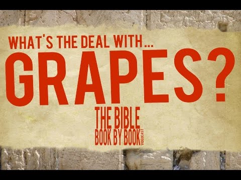 What's the deal with Grapes?
