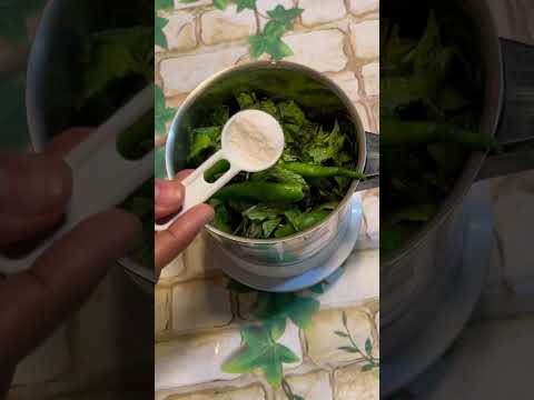 Navratri ke liye Pudina Chutney | Pudina Chutney | Mint Chutney | Mint Leaves Chutney