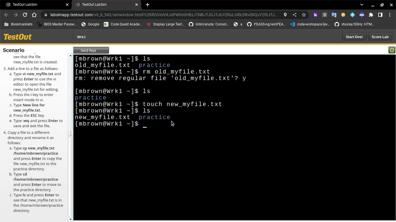 TestOut LabSim using Linux Shell Commands