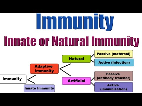 Innate Immunity in Hindi / Immunology-Innate Immunity / Innate Immunity System For GNM, B.SC Nursing
