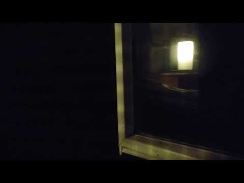 Fisher cat screaming at midnight!