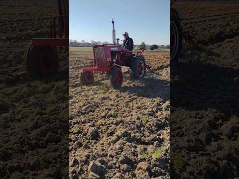 Farmall 140 gettin it !!! #farmall51