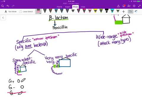 Types of Antibiotic Penicillin - Simplified Overview