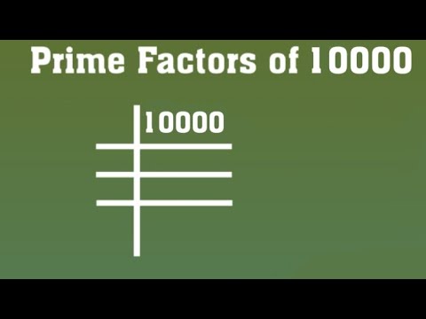 Prime Factors of 10000 - Prime Factorization