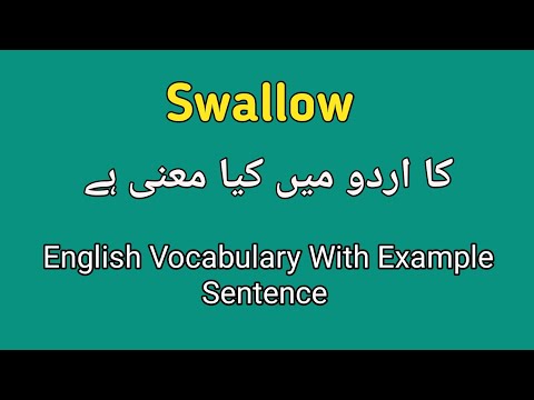 Swallow meaning in Urdu | Swallow meaning