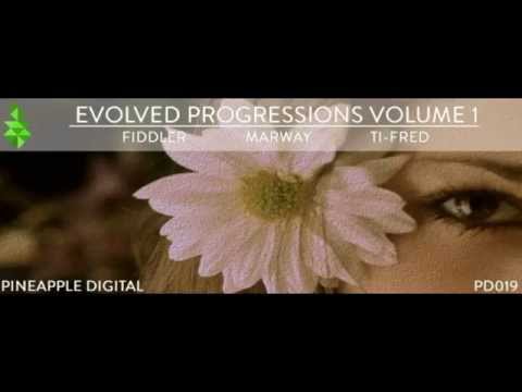 PD019 Fiddler - In A Dream (Original Mix) [Pineapple Digital]