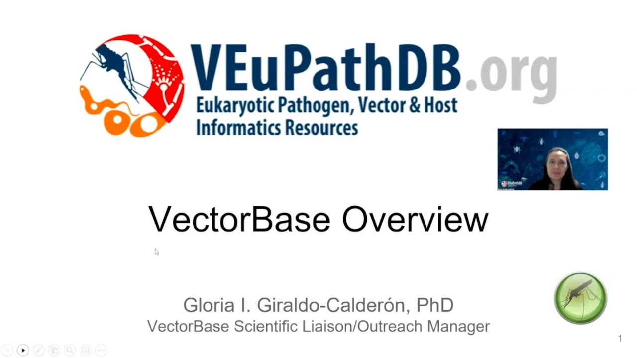 VectorBase Overview