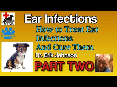 Miconazole and Gentizol For Canine (Dog) Ear Infections