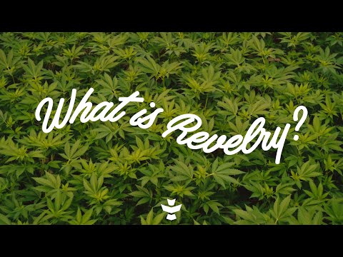 Episode 1: What is Revelry?